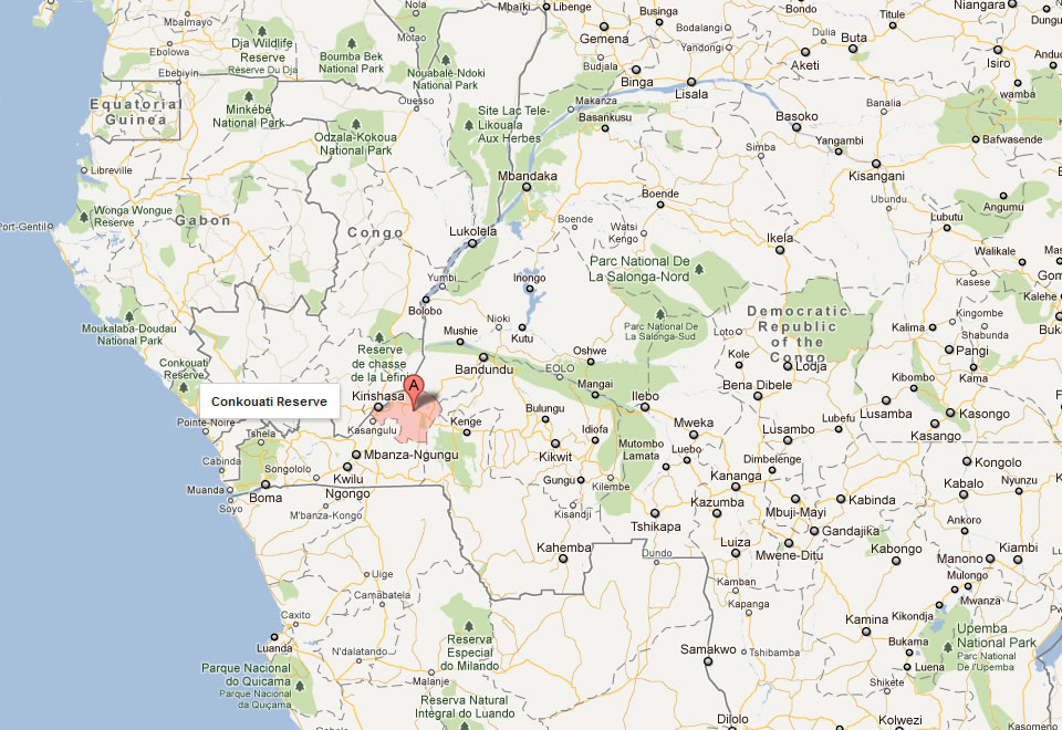 Kinshasa Plan et Image Satellite